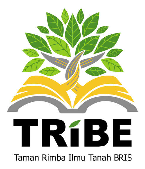 TRIBE